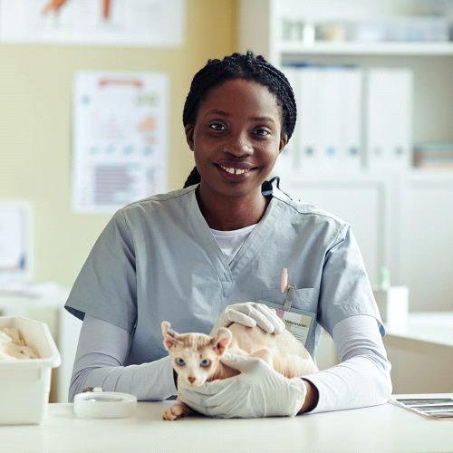 BSc (Hons) Animal Management and Welfare (Top-Up) - University Centre Peterborough